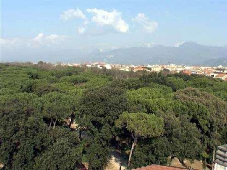 PROTOCOLLO D'INTESA PER LA PINETA DI VIAREGGIO: LA FIRMA TRA COMUNE E ...